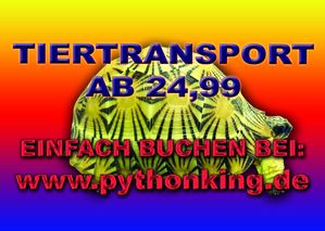 Pythonking - Terrarien, Racks, Zubehör - Pythonking Kunststoffterrarien ...